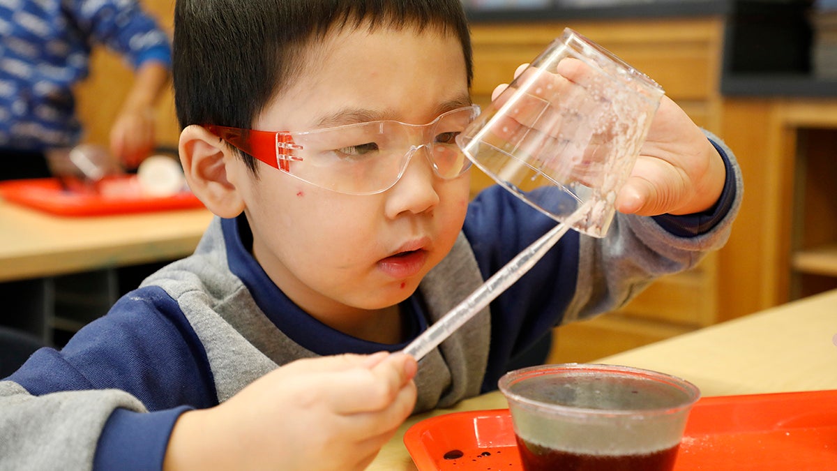 Project-based Learning at Thornton Creek and Cedar Park - Seattle ...