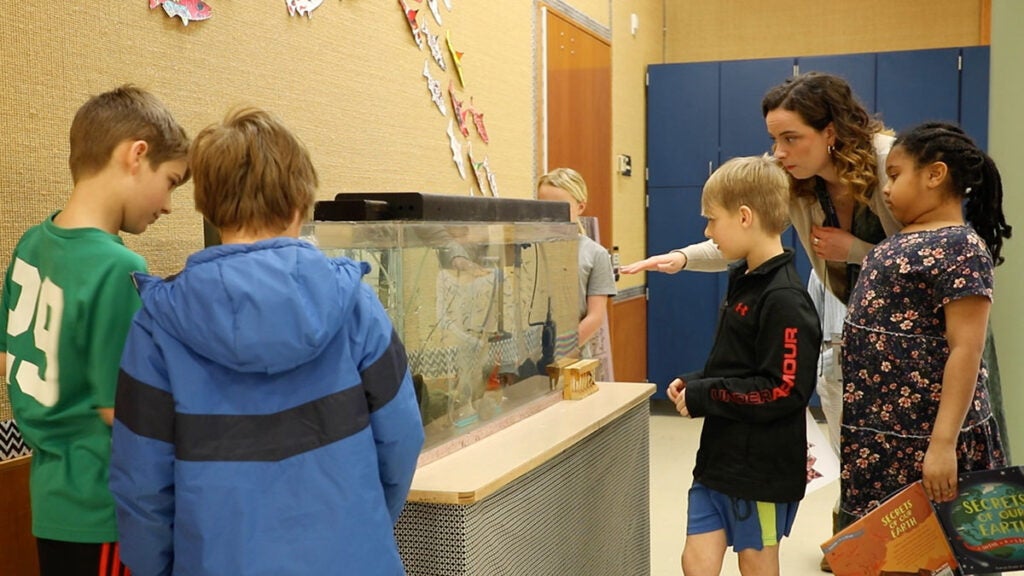Salmon Program Teaches More Than Science - Seattle Public Schools