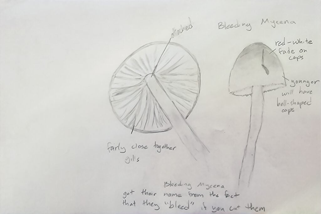 Middle School Art - Seattle Public Schools