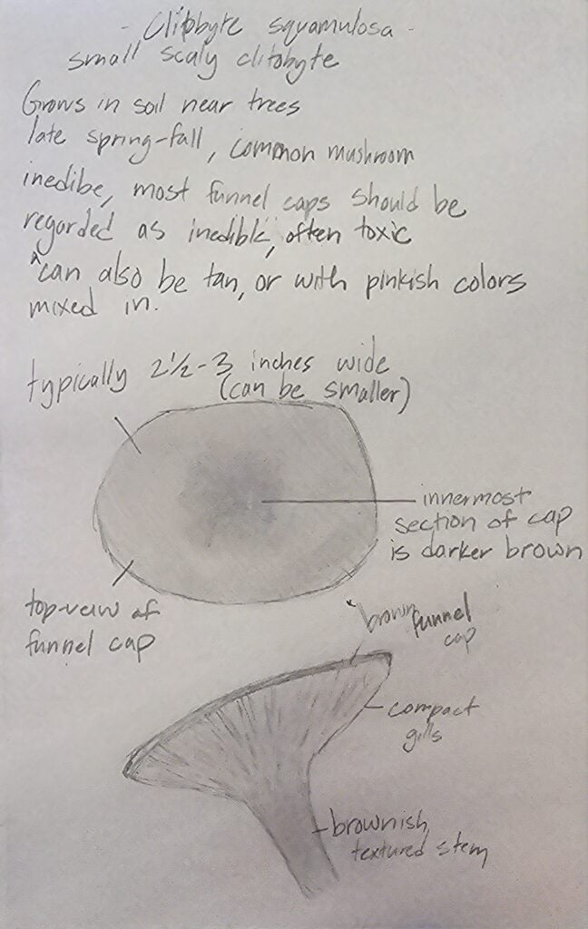 Middle School Art - Seattle Public Schools