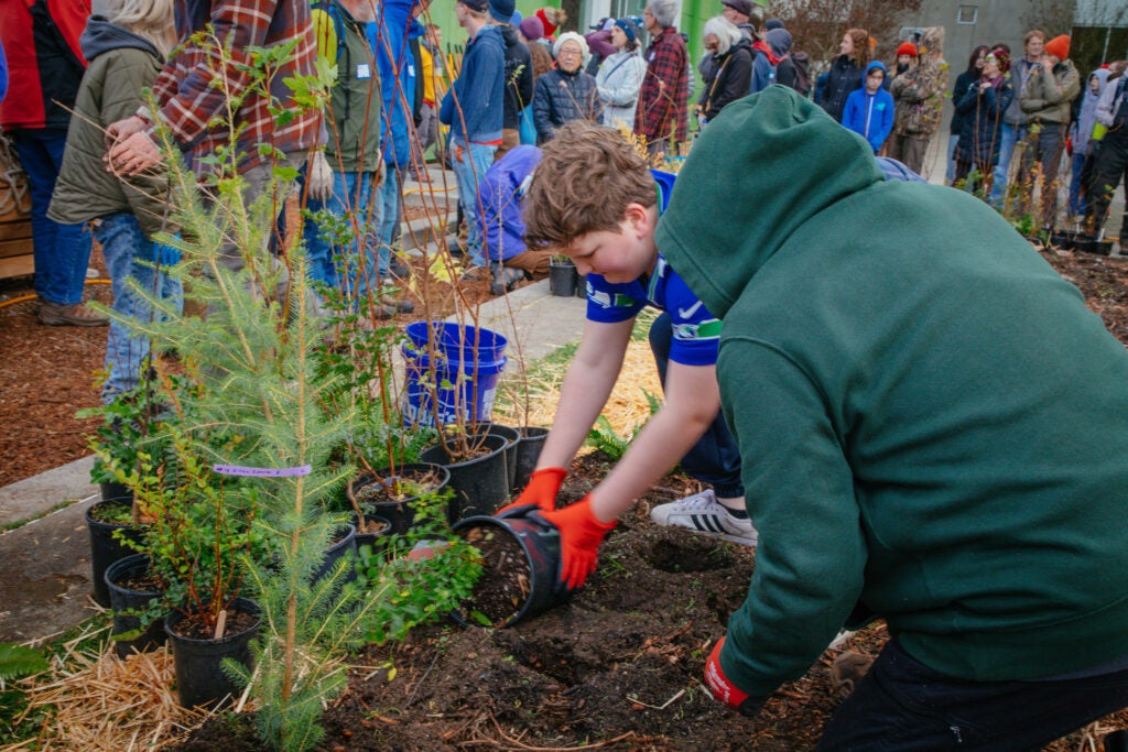 First Mini Forest at Robert Eagle Staff - Seattle Public Schools