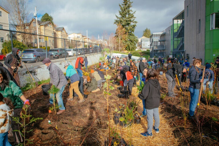 First Mini Forest at Robert Eagle Staff - Seattle Public Schools