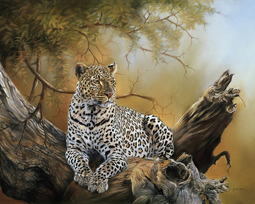 Lafayette Elementary - Lafayette Elementary School